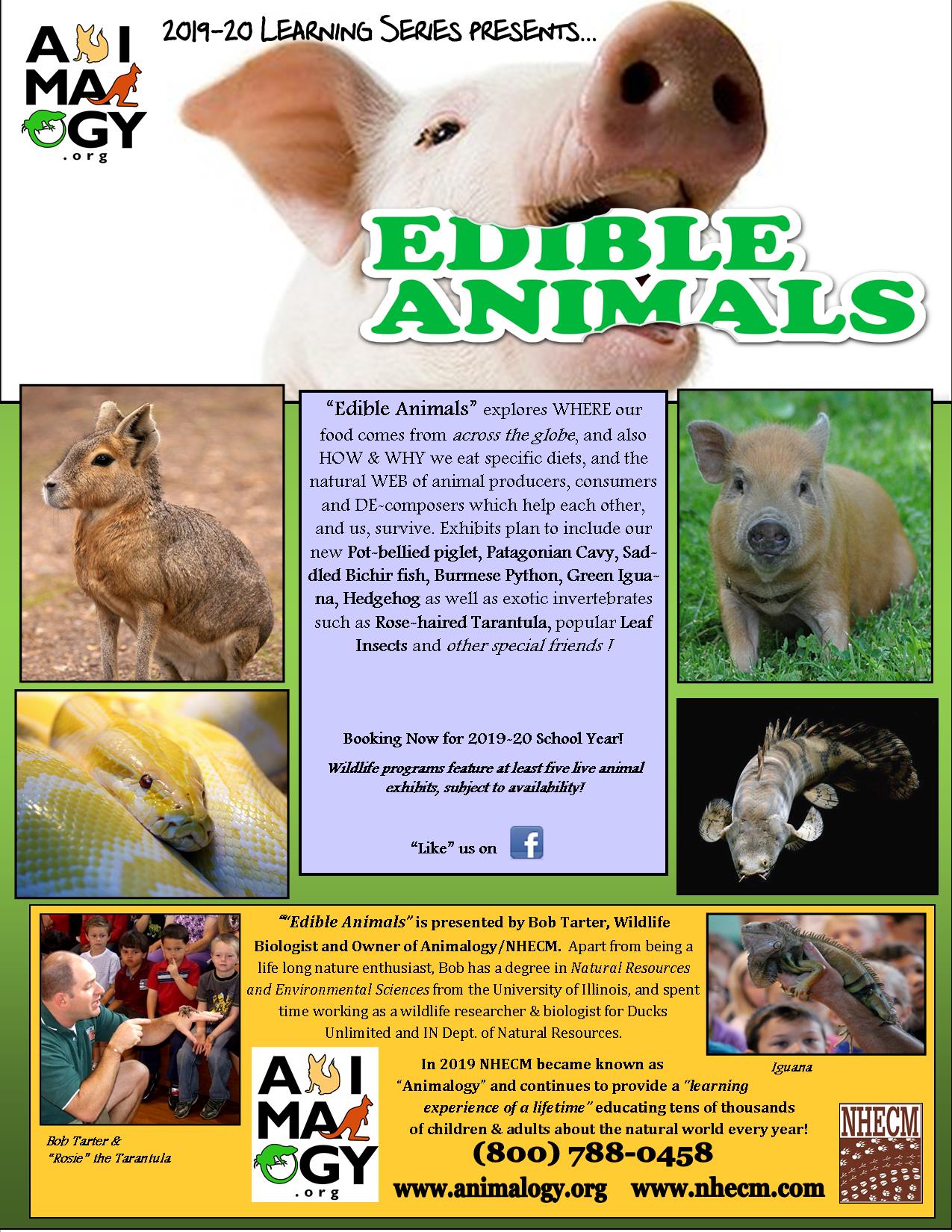 “Edible Animals” Fall 2019 – Spring 2020 – Animalogy/NHECM