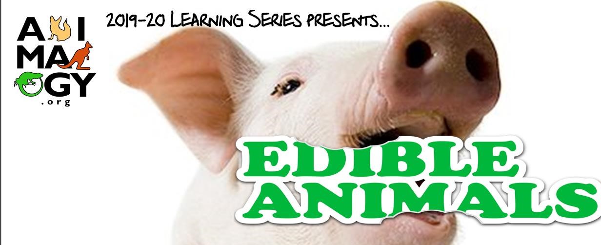 “Edible Animals” (2019-2020) – Animalogy/NHECM